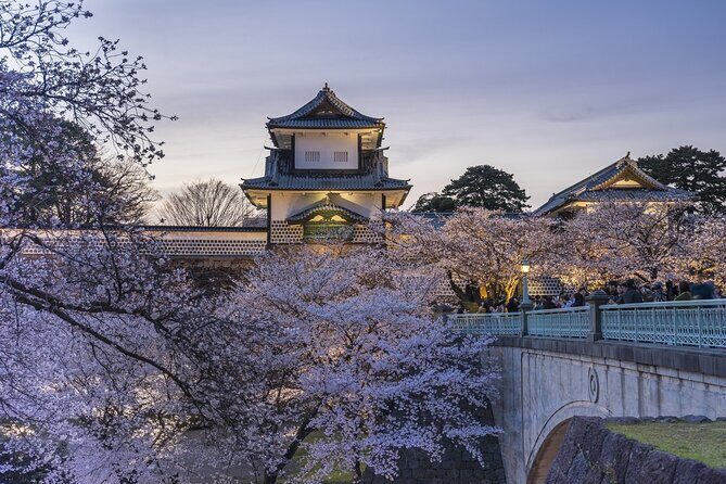Drum Workshop Tour with Sake Brewery Meal in Kanazawa - Who Should Consider This Tour?