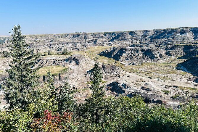 Drumheller Day Trip Museum, Dinosaurs and Historic Sites - Who Will Love This Tour?
