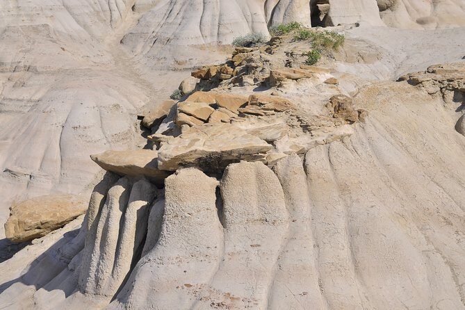 Drumheller Dinosaur Valley & Horseshoe Canyon Adventure Day Tour - A Well-Rounded 8-Hour Adventure for Curious Travelers