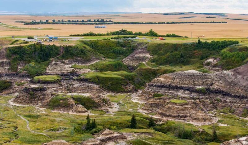 Drumheller: Dinosaurs, Canyons, & Hoodoos Day Tour - Key Points