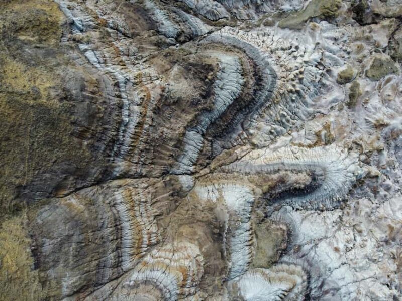 Drumheller: Dinosaurs, Canyons, & Hoodoos Day Tour - Final Thoughts