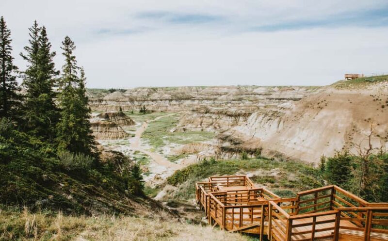 Drumheller: Dinosaurs, Museum, & Hoodoos Day Tour - What Travelers Say: Authentic Perspectives