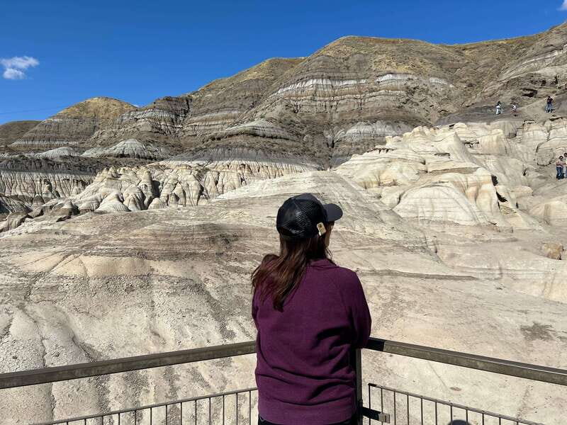 Drumheller Full-day Private Sightseeing Tour - An In-Depth Look at the Drumheller Private Tour: Value, Experience, and Practicalities