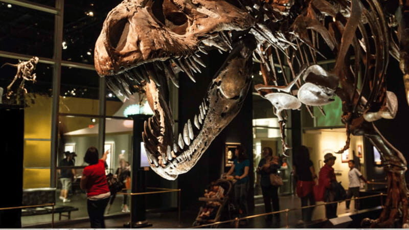 Drumheller Full Day: Tyrrell Museum & Canyon Adventure - Who Would Love This Tour?