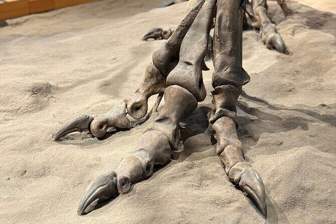 Drumheller & Hoodoos Private Luxury guided Day Tour from Calgary - Practical Considerations and Tips