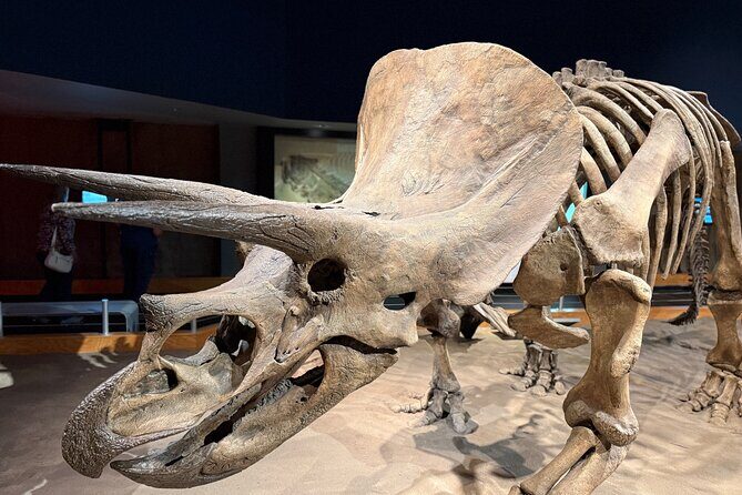 Drumheller & Hoodoos Private Luxury guided Day Tour from Calgary - The Sum Up: Who Will Love This Tour?