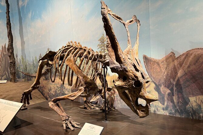 Drumheller & Hoodoos Private Luxury guided Day Tour from Calgary - FAQ