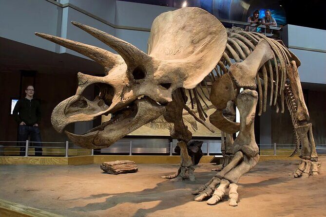 Drumheller, Royal Tyrrell Museum, Hoodoos & Coal Mine Adventure - Final Thoughts