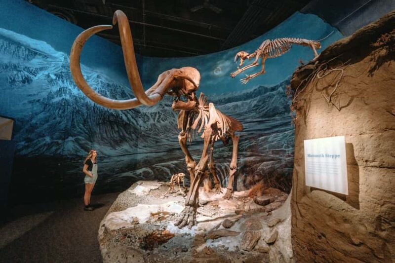 Drumheller Royal Tyrrell Museum,Hoodoos,Horshoe Canon,Bridge - An In-Depth Look at the Drumheller Day Trip