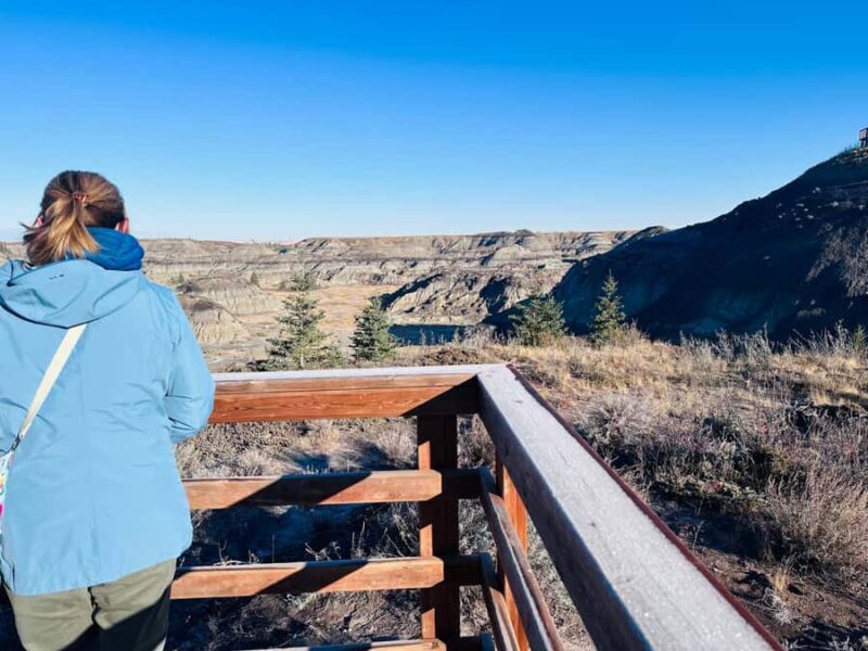 Drumheller Tour: Museum, Hoodoos,Horseshoe Canyon & Lot More - Who Should Consider This Tour?