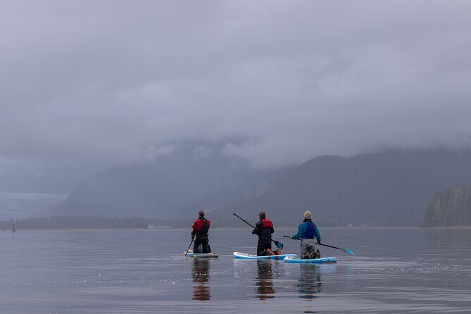Dry-Suit Paddle board in Juneau with Mendenhall Glacier Views - Who Should Book This Tour?