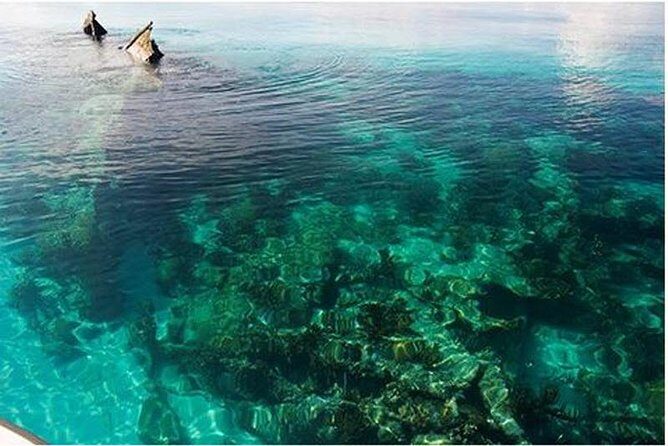 Dry Tortugas National Park Day Trip by Catamaran from Key West - Discover the Dry Tortugas National Park Day Trip by Catamaran from Key West