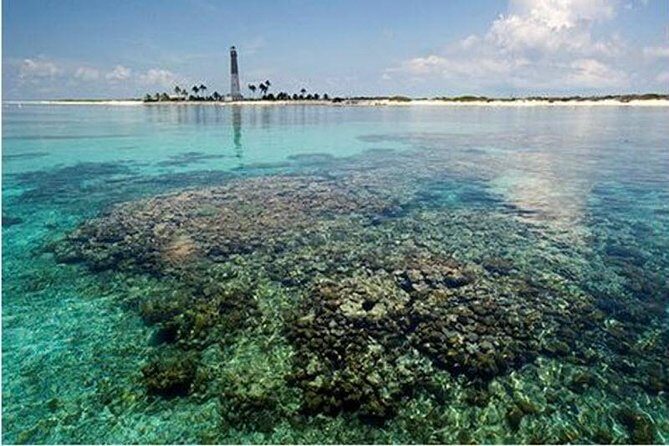 Dry Tortugas National Park Day Trip by Catamaran from Key West - Who Will Love This Experience?