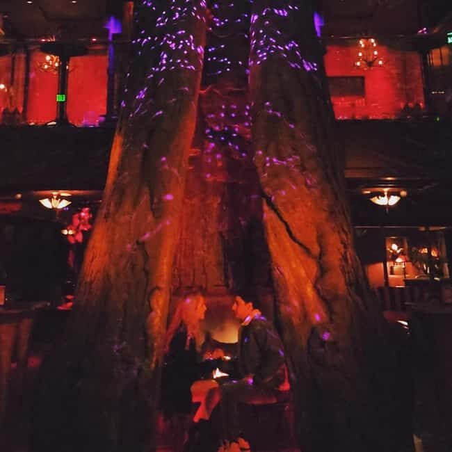 DTLA Murder Mystery Ghost Tour - Final Thoughts on Value and Experience