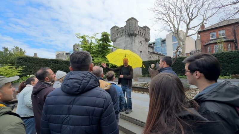 Dublin: Bucket List Sights Walking Tour - An In-Depth Look at What Youll Experience