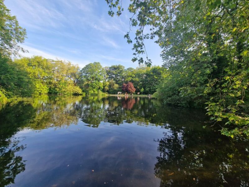 Dublin: Dublin City Highlights Private Guided Walking Tour - Who Should Book This Tour?