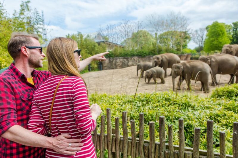 Dublin Explorer Pass: Save up to 50% on 3 to 7 Attractions - Final Thoughts