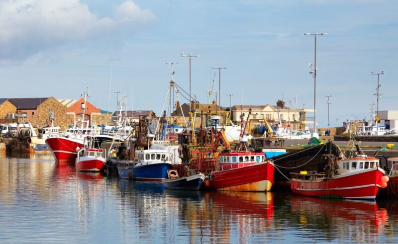 Dublin: Full-Day Howth and Malahide Castle Tour - The Sum Up: Who Will Love This Tour?