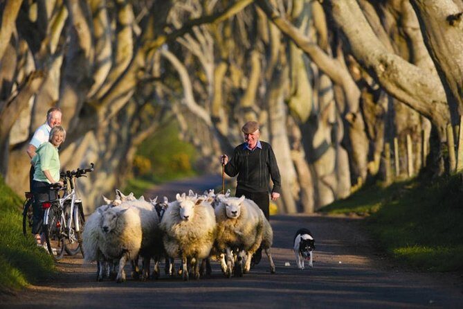 Dublin: Giant's Causeway, Dark Hedges, Dunluce and Belfast Titanic entrance fee - FAQs