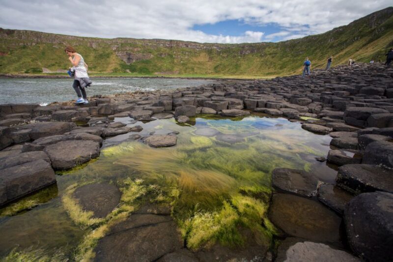 Dublin: Giant's Causeway & Glens of Antrim Day Tour - Who Will Love This Tour?