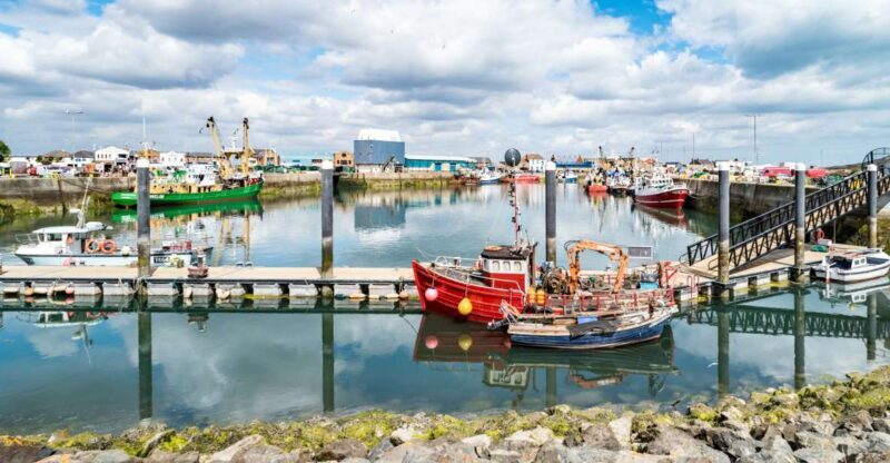 Dublin Great Famine Tour with Fast-Track EPIC Museum Tickets - Key Points