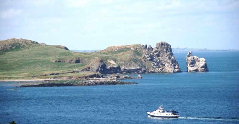 Dublin: Howth Cliffs and Ireland's Eye Boat Cruise - What Makes the Experience Special