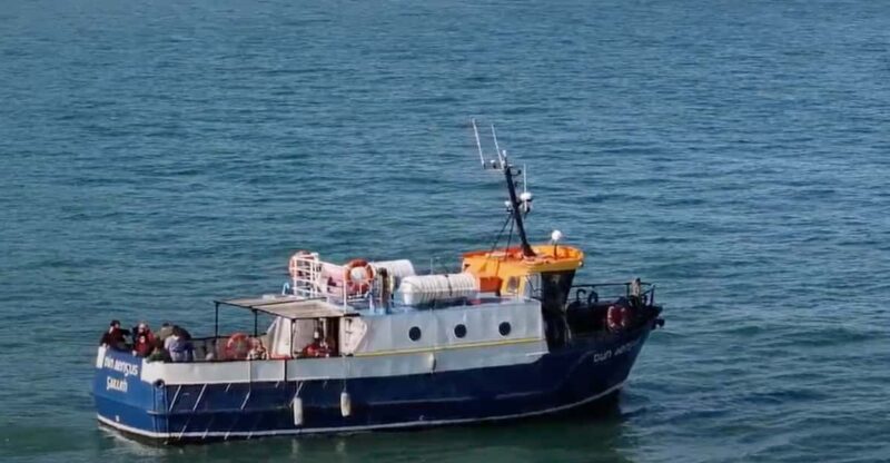Dublin: Howth Cliffs and Lighthouse Boat Tour - Key Points
