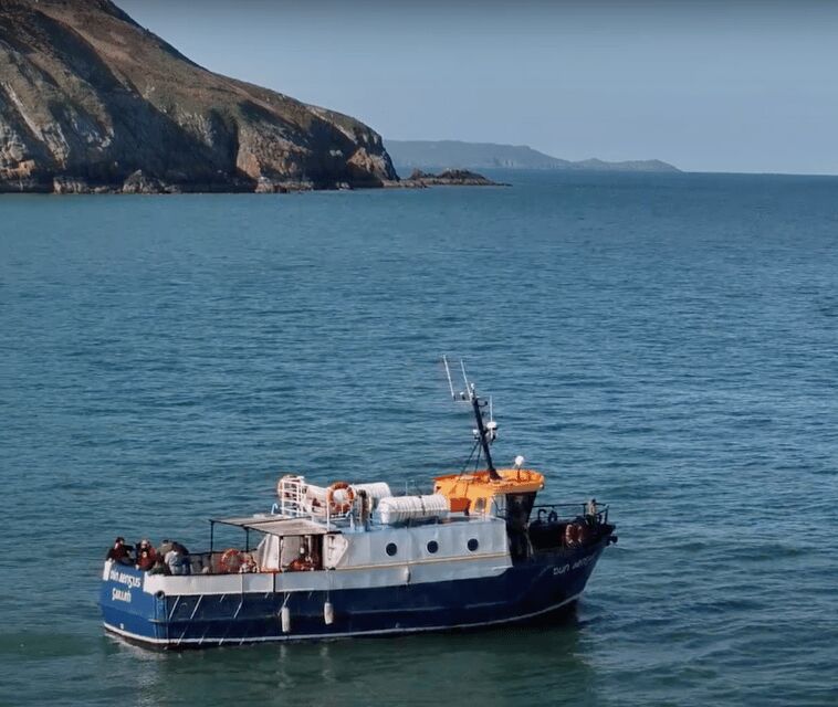 Dublin: Howth Cliffs and Lighthouse Boat Tour - Value for Money and Practical Details