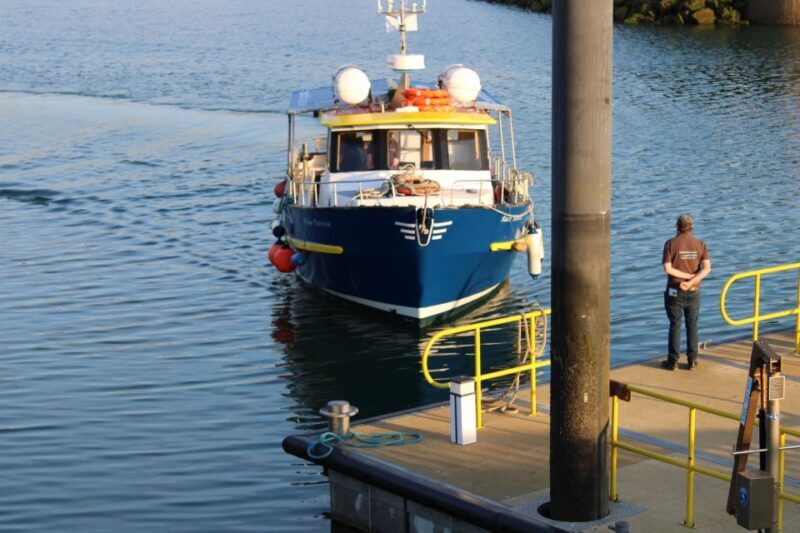 Dublin: Howth Cliffs and Lighthouse Cruise - The Experience at a Glance