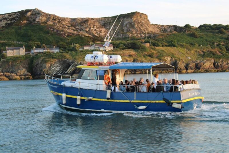Dublin: Howth Cliffs and Lighthouse Cruise - The Practicalities