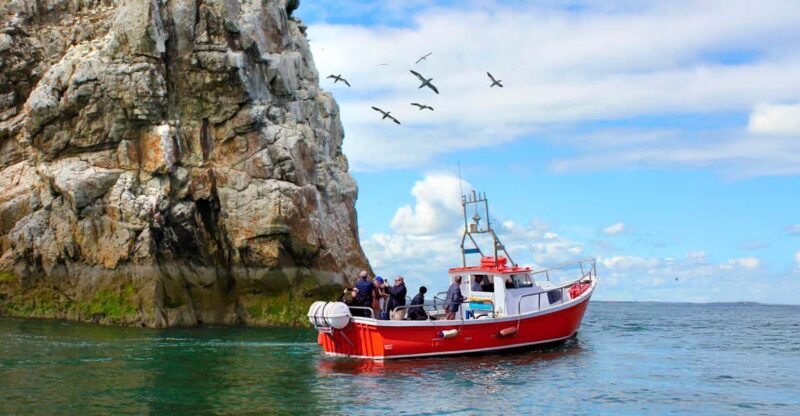 Dublin: Howth Coastal Boat Tour - Key Points