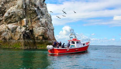 Dublin: Howth Coastal Boat Tour - Scenic Departure from Howth
