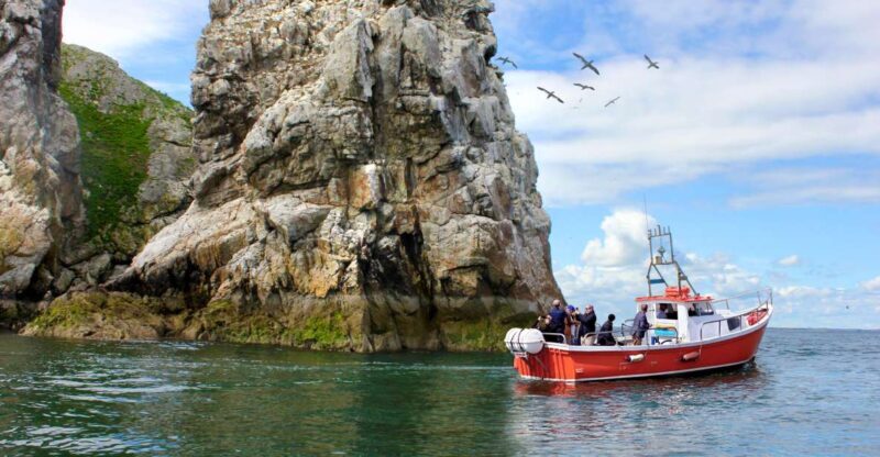 Dublin: Howth Coastal Boat Tour - The Return and the Village of Howth