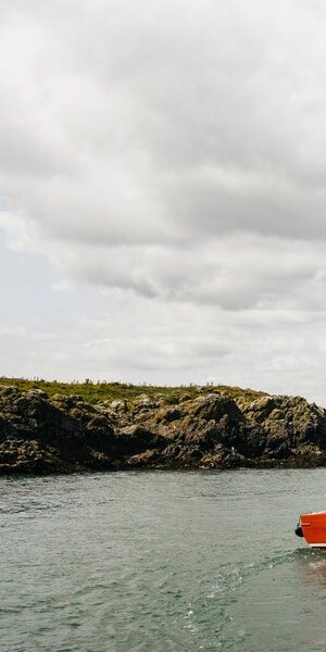 Dublin: Howth Coastal Boat Tour - Authenticity and Overall Impression