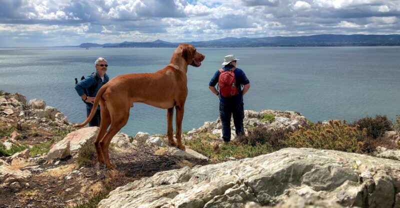 Dublin: Howth Coastal Hiking Tour - Key Points
