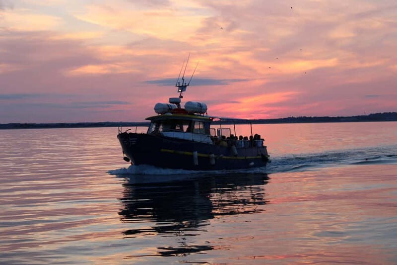 Dublin: Howth Cruise and Dine Experience - Key Points