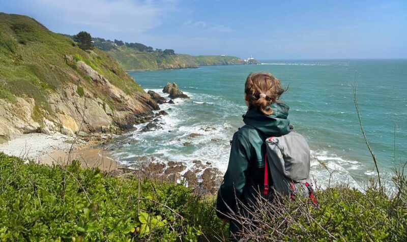 Dublin: Howth Safari Hiking Tour - Key Points