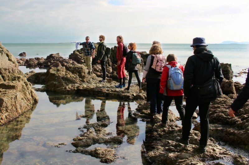 Dublin: Howth Safari Hiking Tour - Who Should Book This Tour?