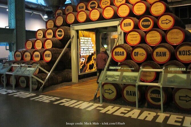Dublin in a Day Private Tour: Book of Kells & Guinness Storehouse - Key Points