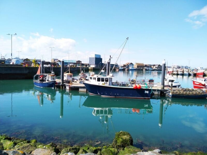 DUBLIN: Malahide castle and Howth MULTILINGUAL full day tour - Who Is This Tour Best For?