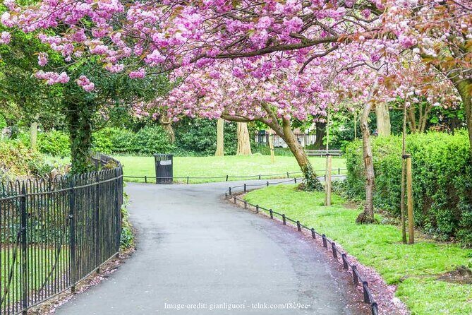 Dublin Off-The-Beaten-Path Private Literary Walking Tour - FAQ: Your Practical Questions Answered