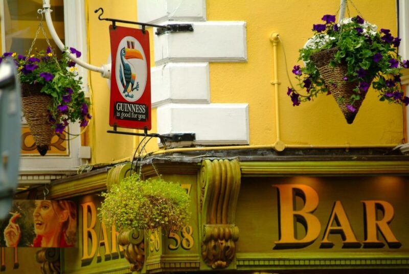 Dublin: Private City Tour in German - Key Points