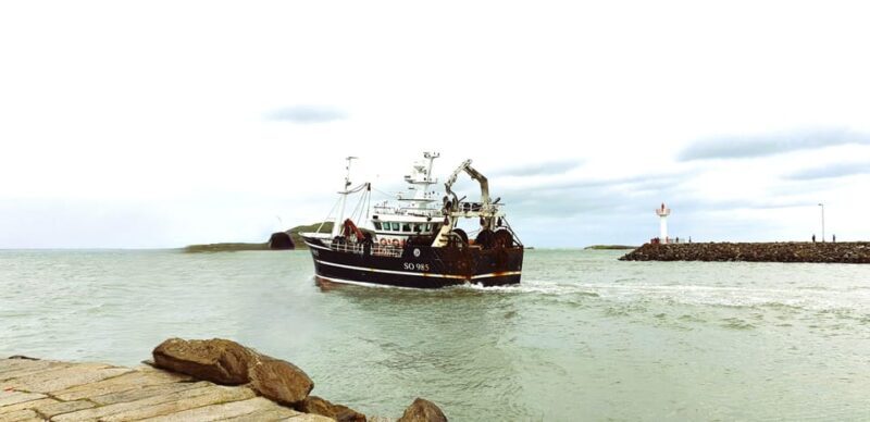 Dublin: Private Day Tour of Howth and Malahide Villages - Lunch Options in Howth