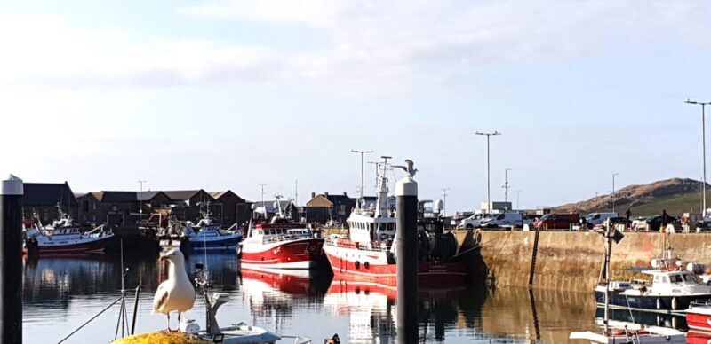 Dublin: Private Day Tour of Howth and Malahide Villages - Scenery and Stop at Portmarnock Strand