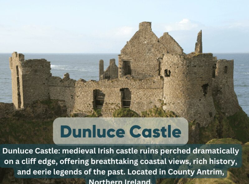 Dublin: Private Luxury Tour to Belfast and Giant's Causeway. - Who Will Enjoy This Tour?