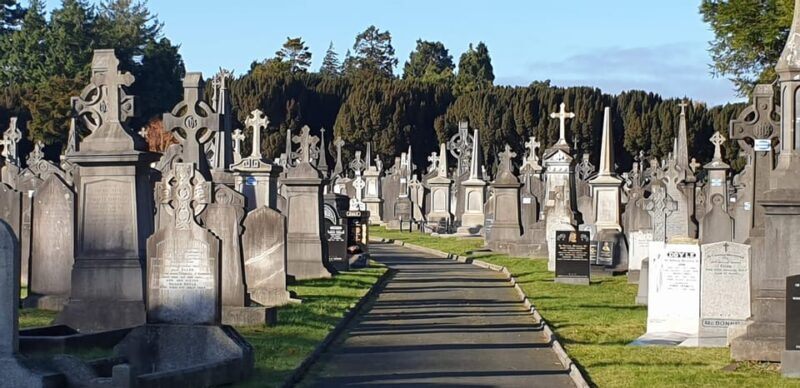 Dublin : Private Sightseeing Tour of Dublin City - Practical Tips for Travelers