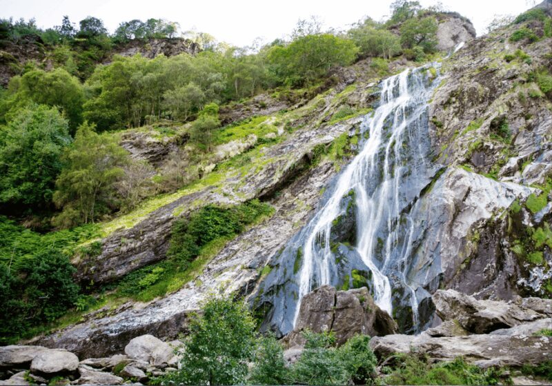 Dublin: Private Tour To wicklow , Glendalough & Powerscourt. - Who Is This Tour Best For?
