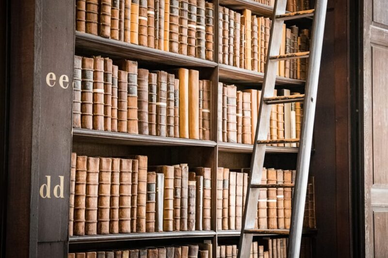 Dublin: St Patrick's, Book of Kells, and Dublin Castle Tour - The Practical Side: Logistics & Group Dynamics