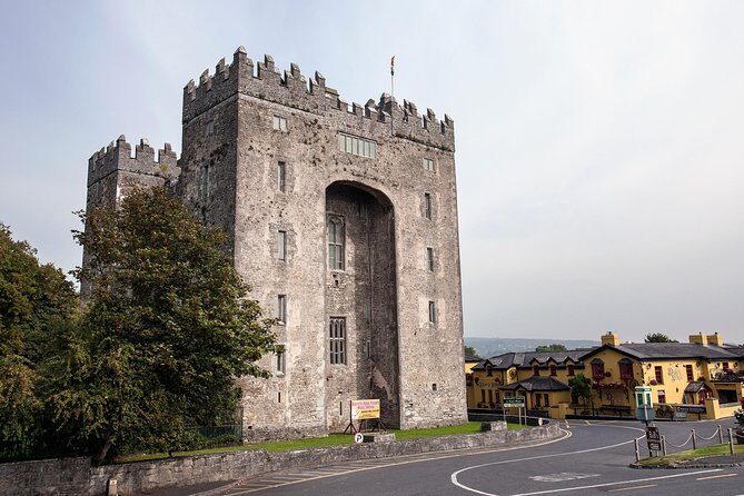 Dublin to Bunratty Castle, Cliffs of Moher, Burren Galway by Rail - The Sum Up: Who Will Love This Tour?