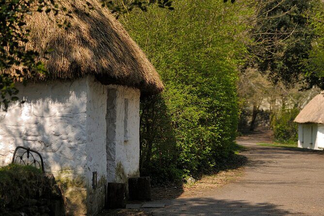 Dublin to Cliffs of Moher, Ennis Town & Bunratty Castle Day Tour - Final Thoughts